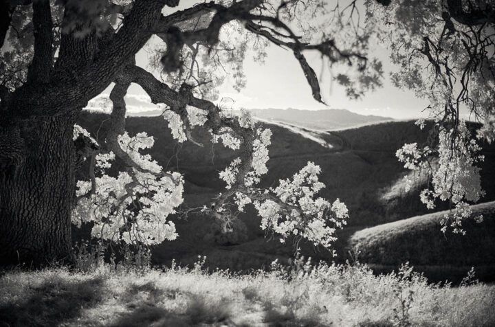 Infrared Landscape Photography (A stock Leica M10 Monochrom)