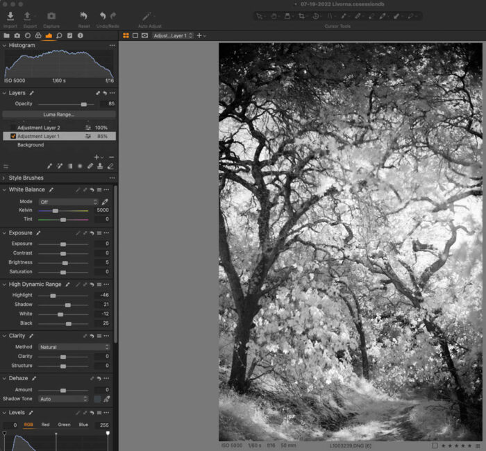 Infrared Landscape Photography (A stock Leica M10 Monochrom)